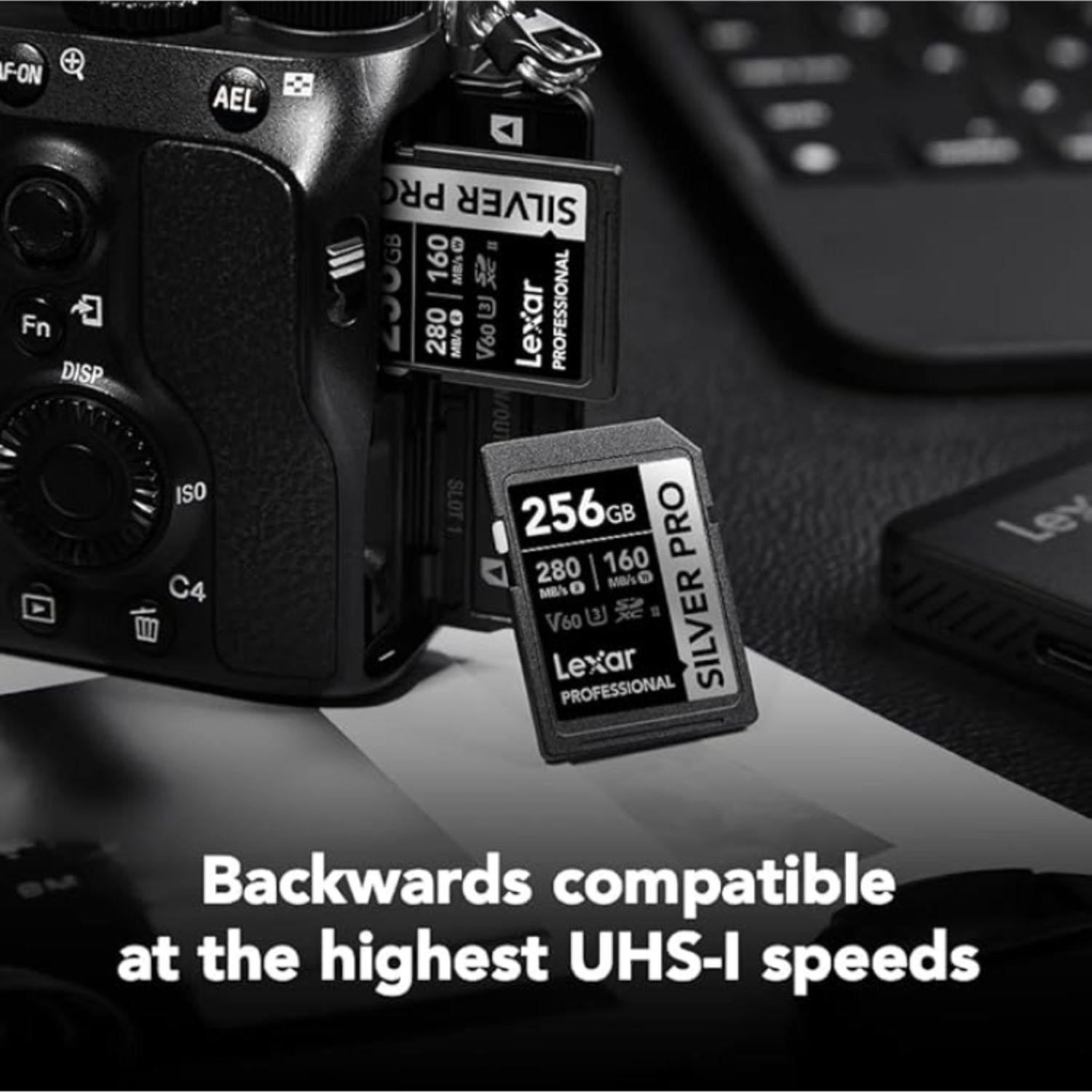 Lexar 256GB SDXC UHS-II V60 Silver Pro Memory Card | High-Speed 4K ...